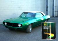 China 1k Automotive Lacquer Primer Surfacer , Anti Corrosion Coating For Car for sale