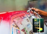 China Free Samples 1k Acrylic Car Paint Chemical Resistance For Auto Refinish ISO14001 4L for sale