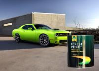 China Heat Resistant 1k Car Paint Scratch Repair , High Gloss Clear Coat High Hardness for sale