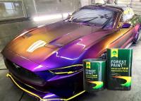 China Sunproof High Gloss Clear Coat For Cars for sale