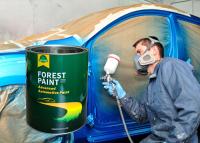 China Stereo Perception Gloss Pearl White Car Paint Fixing Sun Damaged Paint On Car for sale