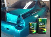 China Metallic 1K Acrylic Enamel Auto Paint Clear Coat Touch Up Heat Resistant for sale