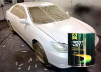 China High Adherence Gloss Pearl White Car Paint for sale