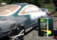 China High Adherence Gloss Pearl White Car Paint for sale