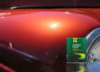 China Matte Black Automotive Color Match Spray Paint Touch Up Anti Rust for sale