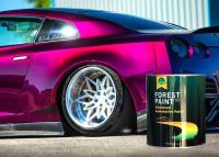 China 1K/2K Metallic Car Spray Paint for sale