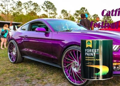 China High Solid 1k Metallic Car Paint Binder , Automotive Epoxy Primer Spray Can for sale