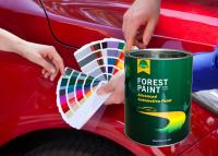 China Basecoat Fixing Sun Damaged Car Paint , 1k Silver Pearl Metallic Car Paint Protection for sale