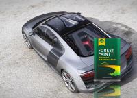 China Heat Resistant Anti Corrosion Car Paint for sale