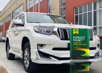 China Heat Resistant Anti Corrosion Car Paint for sale