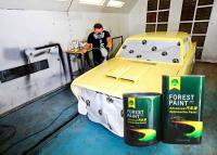 China High Gloss Primer Paint 1K/ Car Paint Peeling Off Repair Chemical Resistant for sale