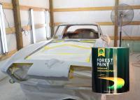 China High Gloss Primer Paint 1K/ Car Paint Peeling Off Repair Chemical Resistant for sale