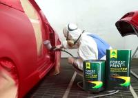 China Quick Drying Automotive Lacquer Primer Surfacer 1K/2K Car Color Touch Up Paint for sale