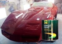 China 1K Automotive Primer Spray Paint for sale