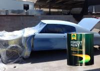 China Weather Resistant Automotive Primer Spray Paint for sale