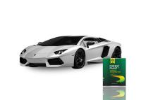 China Sunproof Dark Metallic Grey Car Paint Protection , Gold Palm Silver Car Spray Paint for sale