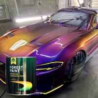 China Anti Scratch 2K Acrylic Car Paint Use For Repairing Car High Hardness FP2K-M2109292 for sale