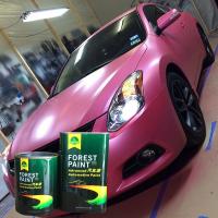 China 2K Automotive Clear Coat Uv Protection All Kinds Of Colors For Car Repair Paint for sale