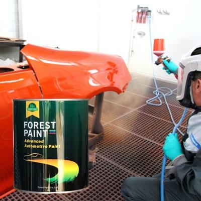 China Polyurethane In The car refinish paint 1L Auto Paint Refinishing for sale