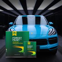 China ISO9001 2K Auto Paint Pigment Car Paint Colors Chameleon Multi Color Pearl Mica for sale