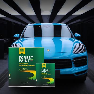 China ISO9001 2K Auto Paint Pigment Car Paint Colors Chameleon Multi Color Pearl Mica for sale
