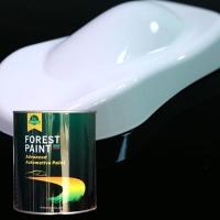 China Pure White Single Polyurethane Ename Gloss Car Paint for sale