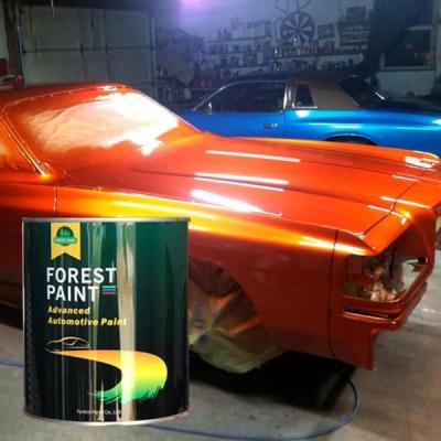 China High Gloss Clear Coat Car Paint Easy To Dry Topcoat Car Paint FPCP-M10191 for sale