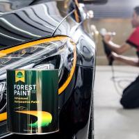 China Super-Fast Gloss Pearl White Car Paint 1K Pearl Colors Car Paint for sale
