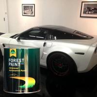China 40-60um Pearl White Color Spray Paint For Car Repairing for sale