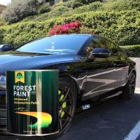 China Professional Manufacturer High Gloss Automotive Refinish Paint Repair 1K 2K Car Auto Paint for sale