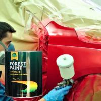 China Professional Manufacturer High Gloss Automotive Refinish Paint Repair 1K 2K Car Auto Paint for sale