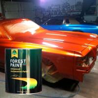 China China Professional Automotive Car Paint Colors Manufacturer High Gloss Auto Car Refinish Clear Coat Car Paint for sale