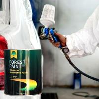 China Car Paint Colors High Solid Content 2k Acrylic Metallic Paint for sale