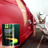 China Car Paint Gloss 2k Car Paint Lacquer Colors High Gloss Auto Car Refinish Repair Paint for sale