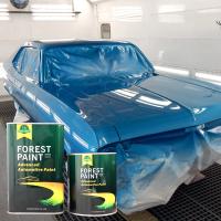 China Good Leveling Auto Acrylic Car Paint High Efficiency High Gloss Car Solid Color for sale
