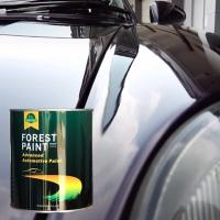 China 60um Automobile Refinish Paint 1K Acrylic Automotive Car Paints for sale