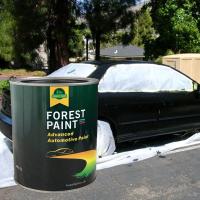 China Industrial 1K Extra Black Paint Coating Waterborne Polyurethane Resin Car Paint for sale