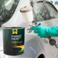 China 1K 2K Automotive Refinish Paint Metallic Color Repair Car Paint for sale