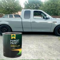 China Excellent Covering 1k Refinish Auto Paint Acrylic Grey Primer Automotive for sale