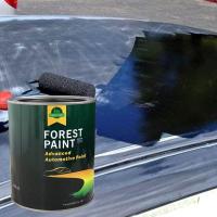 China High Covering Power Acrylic 1k Car Paint From China Factoryprice Supply Sample for sale