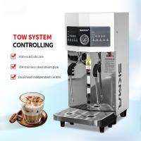 China Stainless Steel Double Head Milk Foaming Steam Machine 10L 3000W for Milk Tea Shop for sale