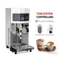 China Commercial Double Head Milk Steamer 10L 3000W Electric Boiling System with Steam Pipe for sale
