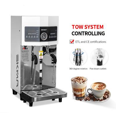 China Commercial Double Head Milk Steamer 10L 3000W Electric Boiling System with Steam Pipe for sale