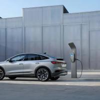 China Dual Socket Electric Car Charger 22KW Type2 7KW AC EV Quick Charging for sale
