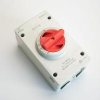 China Waterproof DC Isolator Switch 2P 32A 600V Solar IP66 PV Disconnect Switch for sale