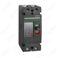 China 2P 500V 65A 80A 100A 125A True DC Circuit Breaker for Solar Panels and Battery for sale