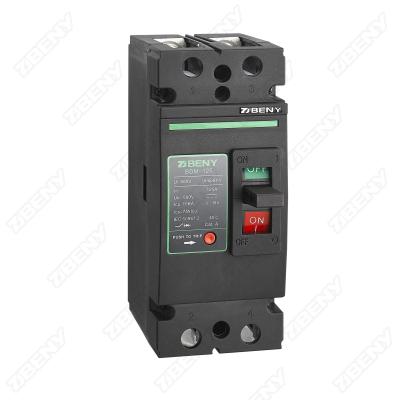 China 2P 500V 65A 80A 100A 125A True DC Circuit Breaker for Solar Panels and Battery for sale