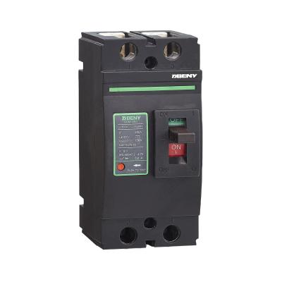China 2P 500V 125A 160A 175A 200A 250A True DC Circuit Breaker for Battery Systems for sale