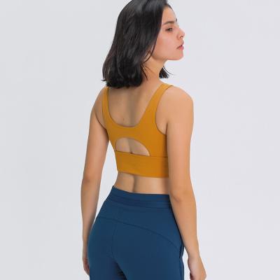 China Lady Sexy Hollow Back High Quality Full Support Push Up Sports Bra High Sport Bra Yoga for sale