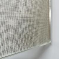 China Transparent Stainless Steel Wire Mesh Laminated Glass High Tensile Strength for sale